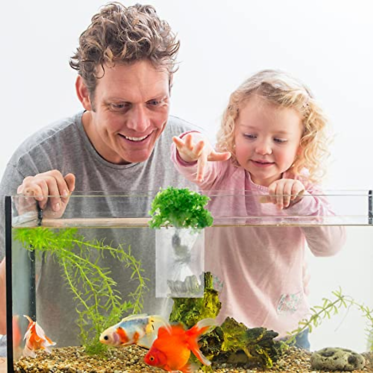 Mipcase Aquatic Plant Cup- Acrylic Fish Tank Water Plants Planter, Aquarium Planter Holder with Suction Cup, Aquarium Fish Tank Frame