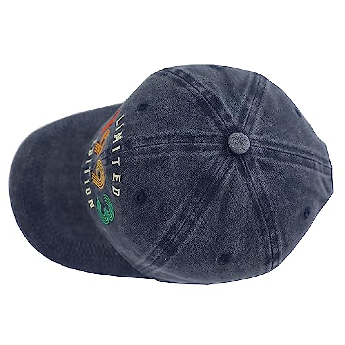 Funny 31th Birthday Decorations for Women Men, 31th Birthday Gifts for Her Him, Limited 1993 Edition 31 Year Old Adjustable Party Supplies Baseball Caps, Gag Gift for Dad, Mom, Husband, Wife Navy