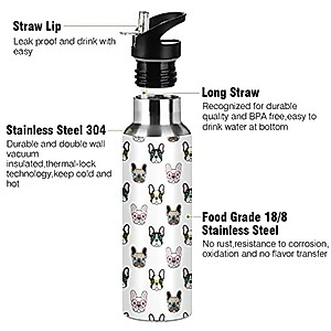 French Bulldog Dog Animals Insulated Water Bottle with Straw, Stainless Steel BPA Free Water Flask Gym Sport, 20 oz Hot Cold