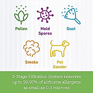 Holmes True HEPA Filter, White