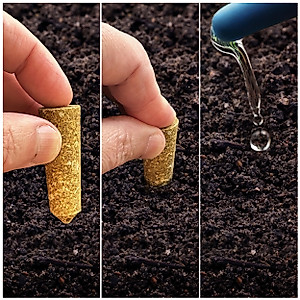 The Old Farmer's Almanac Houseplant & Flower Plant Food Mini Spikes - NPK 5-5-5 for Continuous Feeding and Vibrant Colors (12 Mini Spikes)