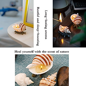 SHPii Handmade Natural Scented Candles - Conch Shell Soy Wax Candles Scented with Essential Oils, Home Scented Candles, Birthday, Christmas, Thanksgiving, Mother's Day, Stress Relief Gifts for Women