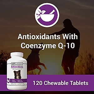 Vet Classics Antioxidants with Coenzyme Q-10 for Dogs, with Alfalfa, Green Tea, Vitamin C, & Wheat Grass, 120 Chewable Tablets