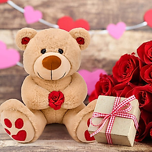 Valentines Day Gifts for Her Women Wife, 11 inch Teddy Bear Stuffed Animals for Kids Mom Girlfriend Fiancée, Christmas Birthday Anniversary Mothers Day Plush Bear Gifts from Boyfriend Husband
