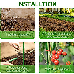 BOTINDO Garden Stakes 48 Inches Sturdy Green Plant Sticks 25 Pack, Metal Tomato Stakes Support, Yard Plant Support Cage for Potted Plants, Tomatoes, Trees, Cucumber, Fences, Beans (48 inch)