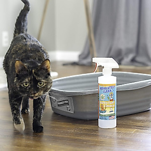 Absolutely Clean Litter Box Cleaner and Odor Eliminator, Eliminate Odors Quickly, Neutralizes Urine and Feces Odors in The Air and The Box, Make Litter Last Longer