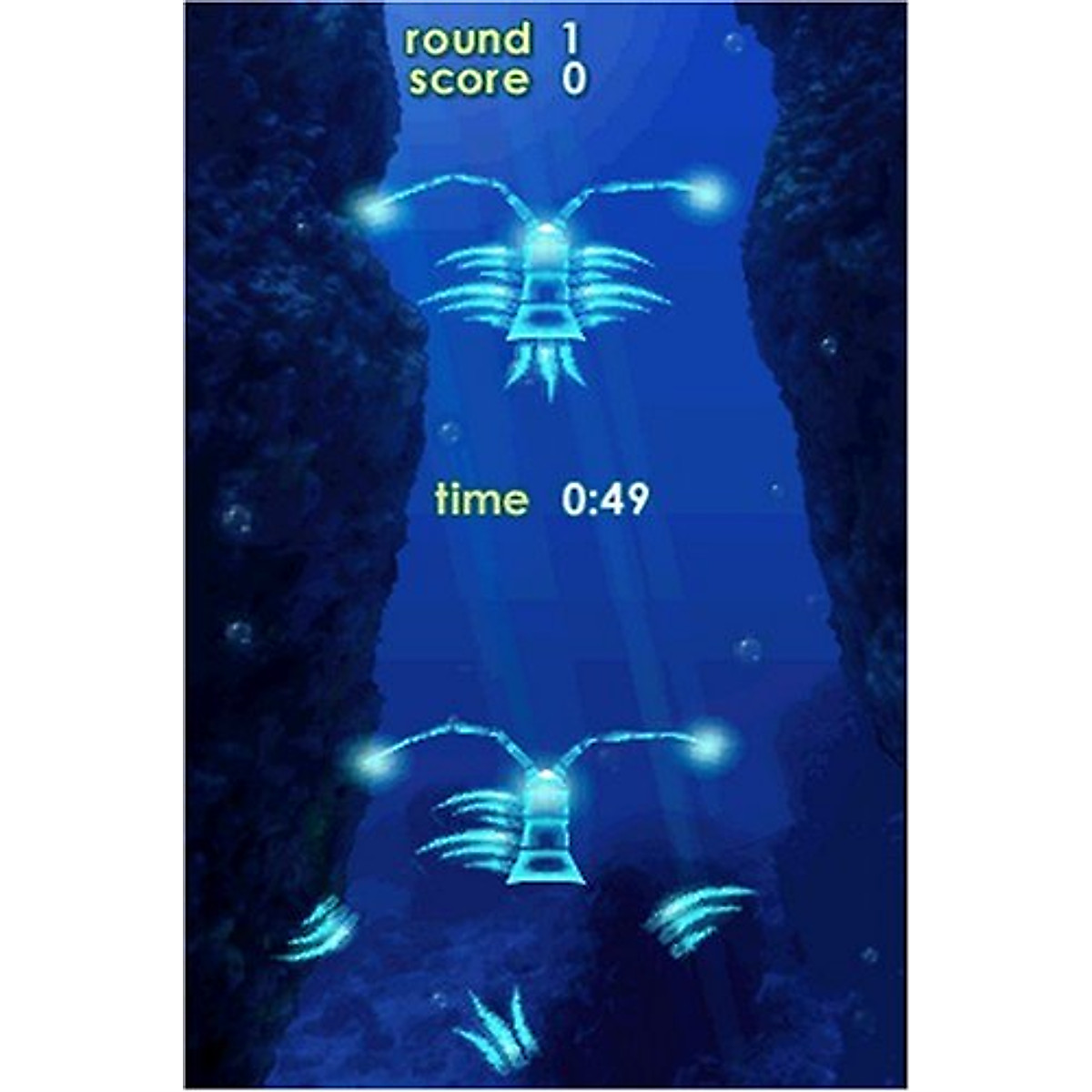 Zenses: Ocean Edition - Nintendo DS