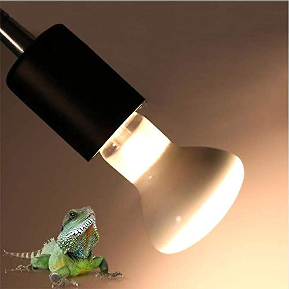 MaoTopCom 50W Basking Spot Heat Lamp Bulbs(2 Pack), 110V Reptile Mercury Vapor Bulbs Soft White Poly Sand Light Dome Bulb for Reptile and Amphibian Use, as Tortoise Lizard