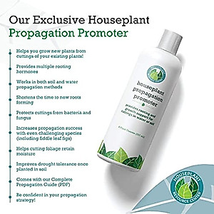 Houseplant Propagation Promoter & Rooting Hormone, Root Stimulator, Plant Starter Solution for Growing New Plants from Cuttings (Formulated for Fiddle Leaf Fig or Ficus Lyrata)