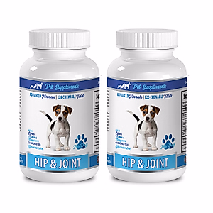 Pet Supplements Dog Joint Health Care - Hip & Joint Support - for Dogs - Chewable - Dog chondroitin glucosamine msm - 2 Bottle (240 Chewable Tablets)