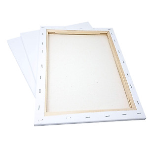 milo Stretched Artist Canvas | 12x16 inch | Value Pack of 6 Canvases for Painting, Primed & Ready to Paint Art Supplies for Acrylic, Oil, Mixed Wet Media, & Pouring, 100% Cotton with Pine Wood Frame