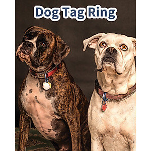 TISUR Titanium Key Ring,Elegant Quick Release Side Pushing Split Rings Kit-5Psc for Keychains,Heavy Duty Keyring for Dog Tag(Blue, K27+4K22)