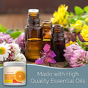 SMELLS BEGONE Air Freshener Odor Absorber Gel - Absorbs Odor from Bathrooms, Cars, Pet Areas, Boats & RVs - Made with Essential Oils - Energizing Citrus Scent - 15 Ounce