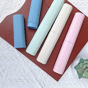 ssupfree 4 Packs Toothbrush Covers, Travel Toothbrush Holder Plastic Breathable Toothbrush Travel Containers for Travel School Business Camping Toothbrush Case, Blue,Green,Beige,Pink