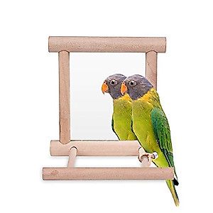 HAPPTYTOY Bird Toy for Parrot Parakeets Conures Cockatiels Cage Swing Wooden Fun Play Toy for Birds (Mirror)