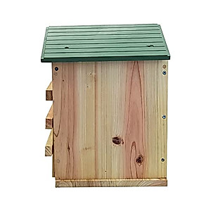 Prolee Screech Owl House Hand Made 14 x 10 Inch Cedar Wood Owl Box with Mounting Screws, Easy Assembly Required (Standard)