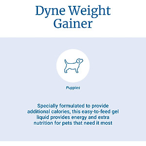 Pet-Ag Dyne High Calorie Liquid Nutritional Supplement for Dogs & Puppies 8 Weeks and Older - 16 oz - Supports Performance and Endurance - Sweet Vanilla Flavor