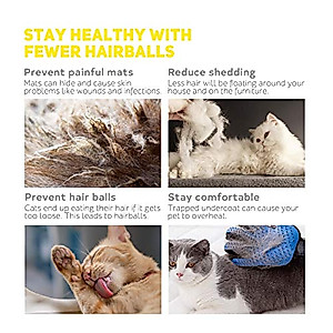 EJG New Version 1 Pair Pet Grooming Gloves with Hair Removal Brush, Deshedding Gloves to Brush and Fur Remover, Dematter Deshedder for Dog, Cat, Horse with Long & Short Fur