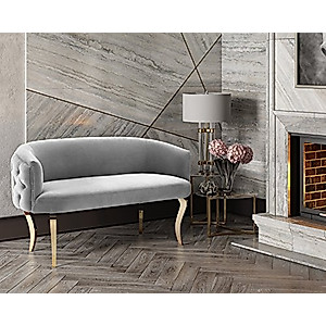 Tov Furniture The Adina Collection Contemporary Living Room Velvet Upholstered Loveseat, Grey with Gold Legs