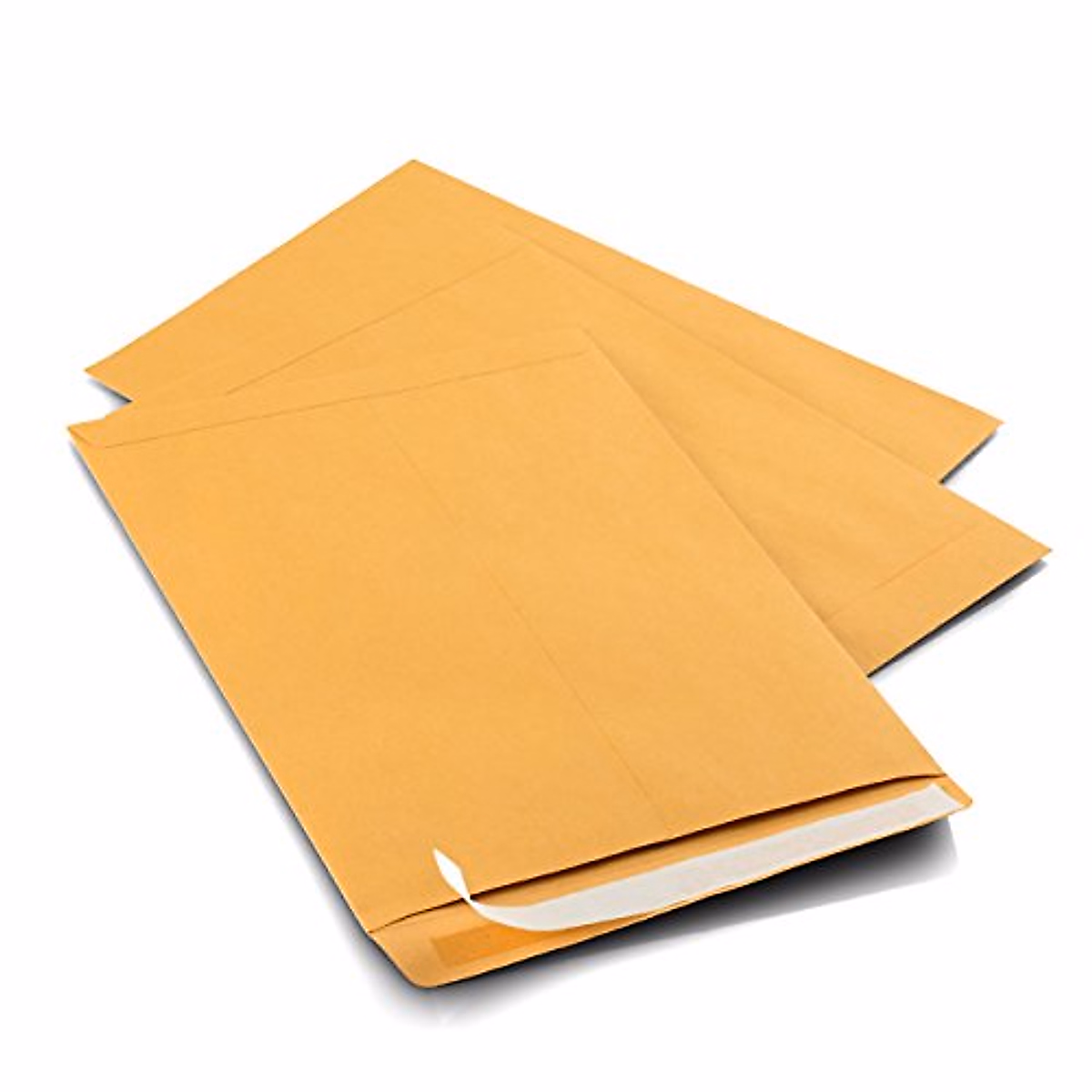 9 X 12 Self-Seal Brown Kraft Catalog Mailing Envelopes - 28lb - 250 Count, 9x12 Inch (38302)