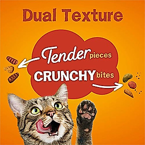 Purina Friskies Dry Cat Food, Tender & Crunchy Combo - 16 lb. Bag
