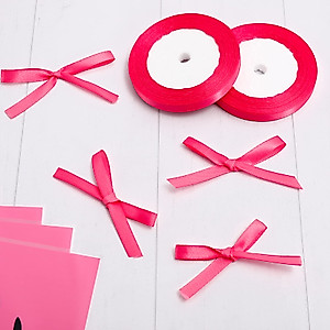 Whaline 100Pcs Watermelon Treat Bags Pink Green Candy Cellophane Bag 10.8 x 5 Inch Watermelon Plastic Goody Bags with Red Ribbon for Birthday Watermelon Party Favor Supplies Gift Summer Decoration