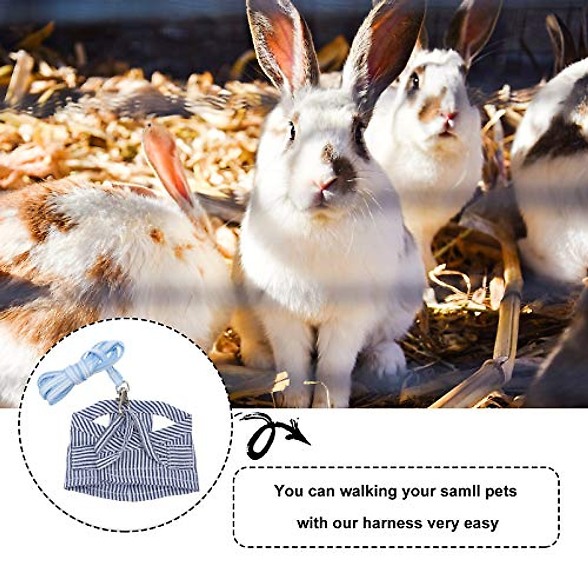 Small Animal Harness and Leash Guinea Pig Rabbit No Pull Comfort Padded Cotton Stripe Vest Suit for Chinchilla Puppy Kitten and Other Small Pets - Size S (Blue)