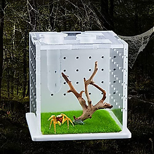 Spider Acrylic Breeding Box, Tarantula Transparent Terrarium, Jumping Spider Feeding Box, Insect Habitat Hatching Container Cage