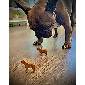 Kasian House French Bulldog Ice Cube Tray and Treat Mold, 9 Frenchie Shaped Molds, BPA Free and Heat Resistant, Chocolate Mold