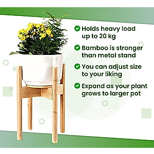 ZPirates Plant Stand Indoor - Bamboo Wood, Full Adjustable, Holds 8 10 and 12 Inch Planter Pots - Holder for Plants and Flowers