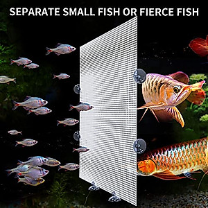 2 Pack Fish Tank Divider, Aquarium Divider Clear Plastic Cuttable Grid Plate Juvenile Fish Separator DIY Designed Clear Easy to Bent Cut and Assemble 13 * 17.3in (Suction Cups are Included)