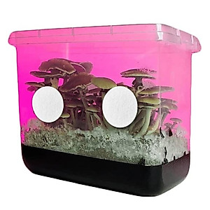 2" Adhesive Waterproof Monotub PTFE Membrane Disc Filters (1 Sheet - 6 Filters)