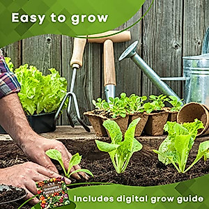 15 Survival Heirloom Vegetable Seeds for Planting Your Home or Survival Gear, Vegetable Garden Starter Kit - Outdoor and Indoor Home Gardening (15 Variety)