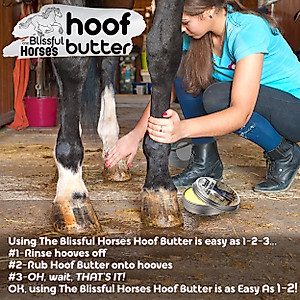 The Blissful Horses Hoof Butter All Natural Support for Your Horse's Hooves