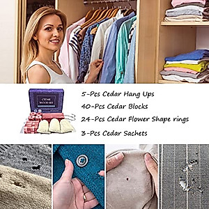 Cedar Space Cedar Blocks for Clothes Storage, 100% Aromatic Red Ceder Blocks, Cedar Planks, Cedar Accessories for Closets Storage, 72 Pcs