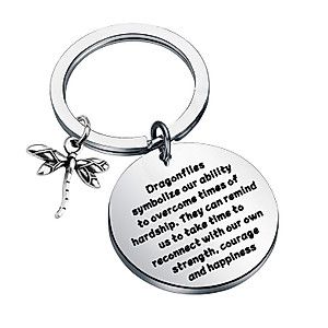 ENSIANTH Dragonfly Keychain Dragonfly Lover Gift Inspiration Gift for Friend Encouragement Gift (Dragonflies Symbolize)