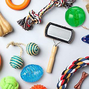 Relaxdays Chew Set of 2, Dog Toy Dental, Squeaks, Bite-Proof, Robust, 2 Sizes Teeth Cleaning Balls, Green/Blue, One