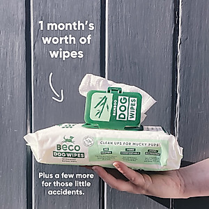 Beco Bamboo Dog Wipes, Thick Grooming Wipes for Easy Pet Cleanup, Home Compostable, 80 Count (Unscented)