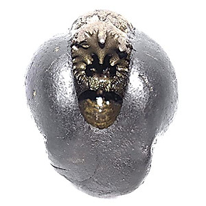 Rudrakshguru Wooden Bhuvaneshwari Shaligram (Black, 2.50 x 2-inch)