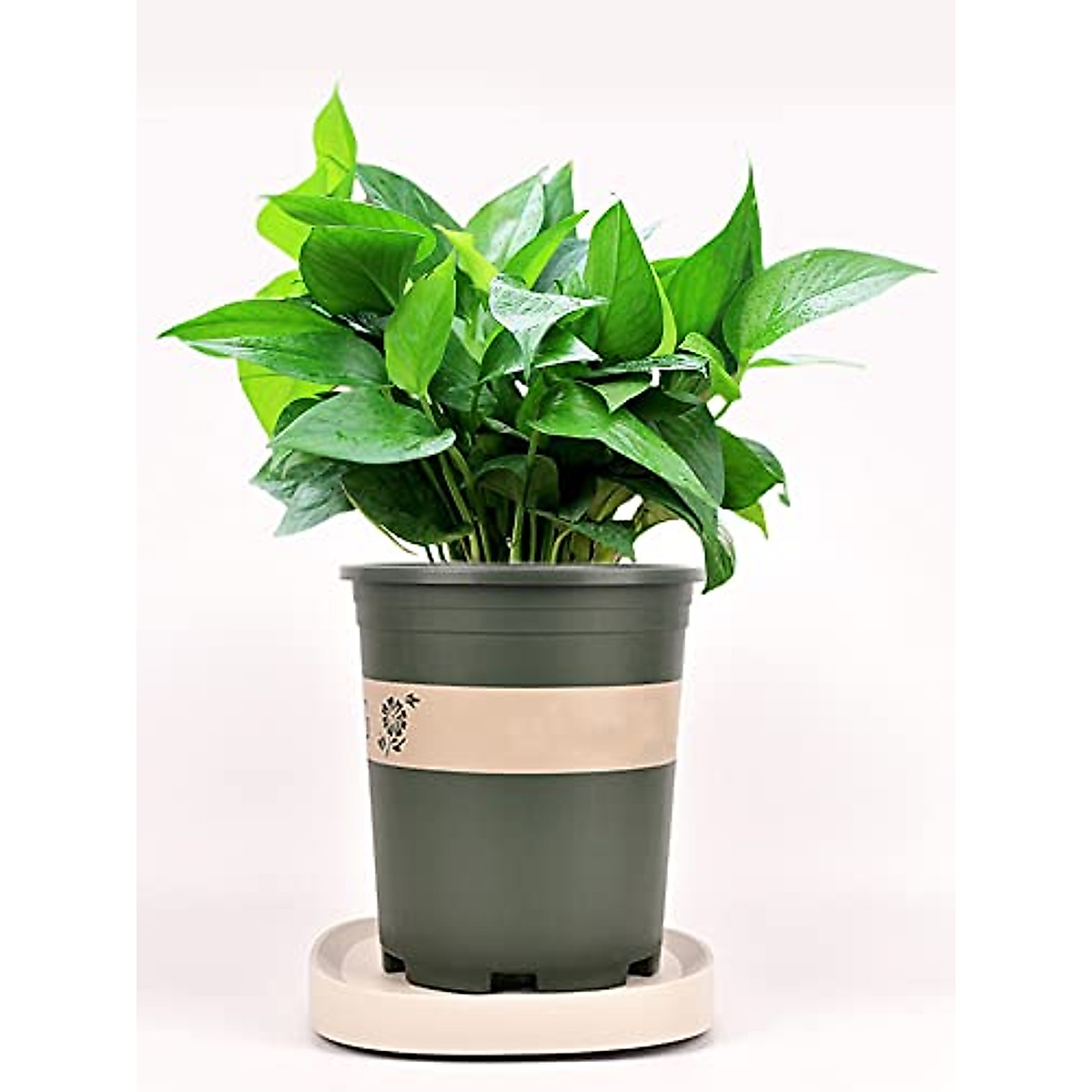 Plant Tray wth 4 Invisible Wheels, Plant Caddy with Wheels Rolling Plant Stand with Wheels 14 Inch Plant Dolly Heavy Duty Large Potted Plant Mover with Casters for Indoor and Outdoor(White Big)