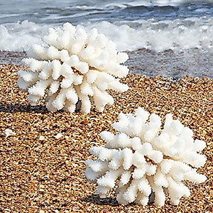 Pack of 2 Artificial Coral Ornament, Aquarium Resin Coral Decor Underwater Sea Plants Fish Tank Decoration Aquarium Plants