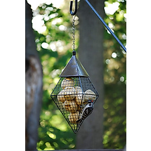 Wildlife Sciences Suet Balls 24 Pack, 6 Individually Wrapped Packs of 4 Bird Suet Balls (Peanut Blend)