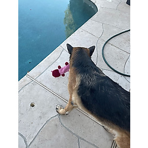 Jalousie 5 Pack Stuffingless Dog Squeaky Toys Dog Toy w/Durable Liner No Stuffing Dog Toy - Dog Toys Crinkle Paper Squeaker Toy for Medium Large Dogs (5 Pack - Color 4 - Squeaky)