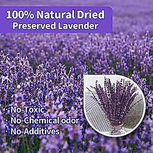 120+Stems Dried Lavender Flowers Bundle-Dried Preserved Lavender Bouquet 15-17" for Shower Weeding Home Vase Decor, Crafts, Aromatherapy, Fragrance, Fresh Silk Dry Live Plants