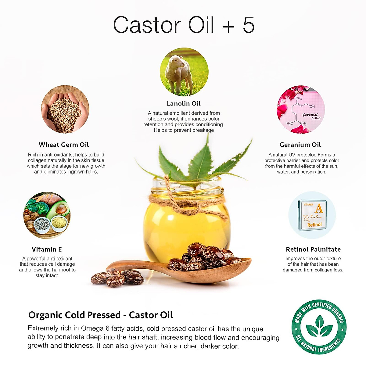 Godefroy Color Keep For Lashes and Brows