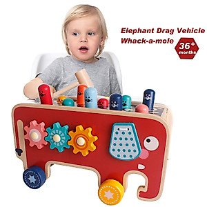 SHIERDU Whack a Mole Game for Toddlers, Wooden Educational Toy for Hammering, Pounding, Hitting and Pull Along, Xylophone, Elephant, Gopher, Mouse and Hamster, Gift for 3+ Years Boys and Girls (Dds-1)