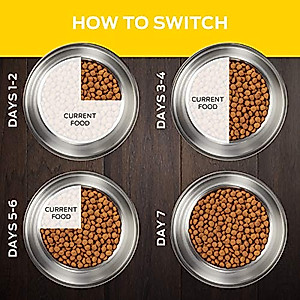 Purina Pro Plan Veterinary Diets NC NeuroCare Canine Formula Dry Dog Food - 6 lb. Bag