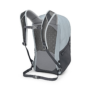 Osprey Comet 30 Laptop Backpack, Silver Lining/Tunnel Vision