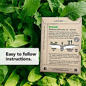 Vegetable Seeds for Planting Home Garden - 13 Variety Seed Packets - Heirloom Vegetables - Bell Pepper Seeds, Zucchini Seeds, Kale Seeds, Cucumber Seeds, Peas Seeds & More - Veggie Garden Starter Kit