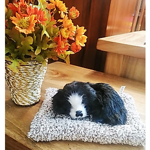 KKUSSOLL Realistic Dog Plush Small Sleeping Doggie Lying Border Collie German Shepherd Puppy Baby pup Ornaments can Absorb poisonlus Elements in air